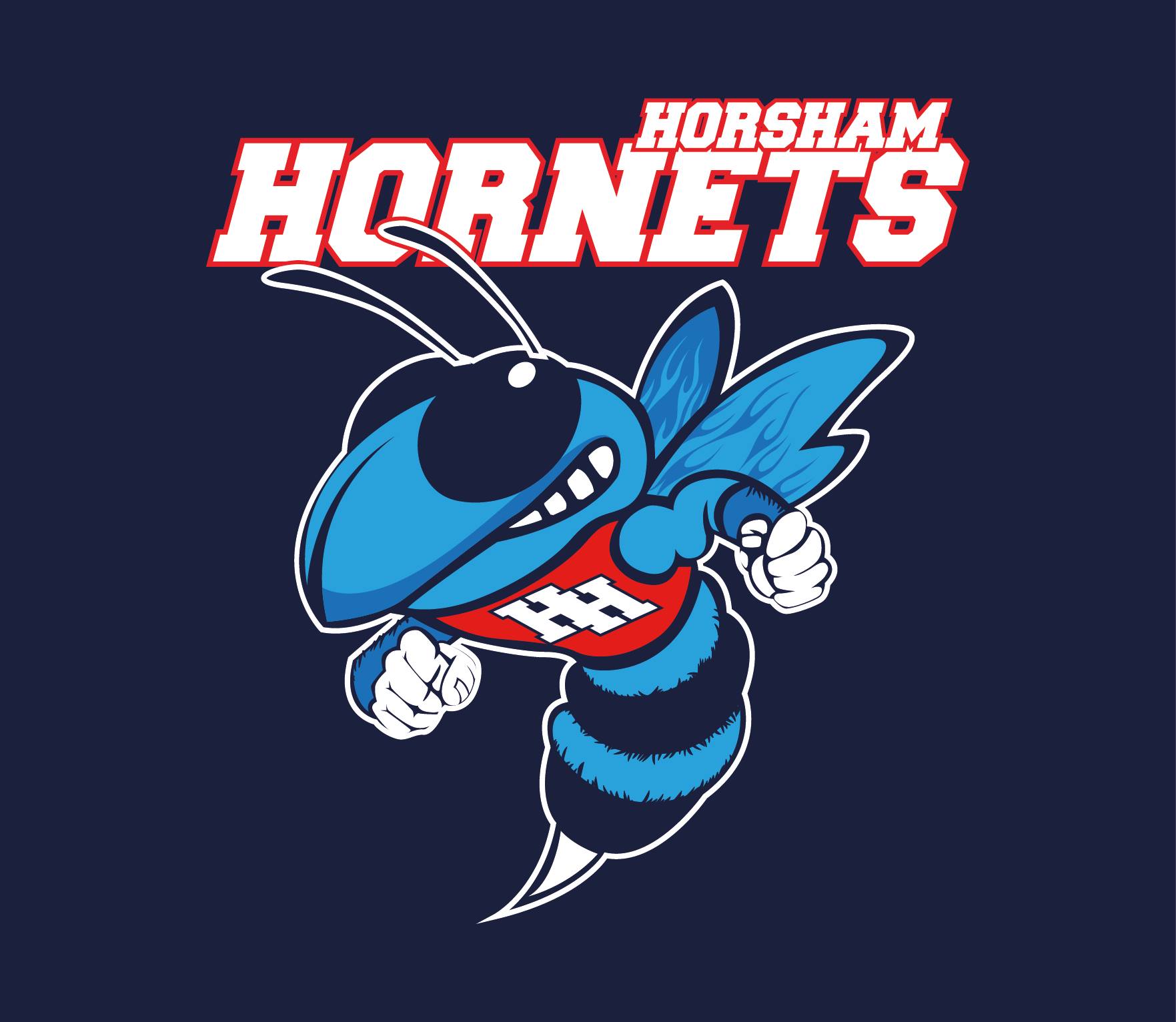 Horsham Basketball – Horsham Amateur Basketball Association (HABA)