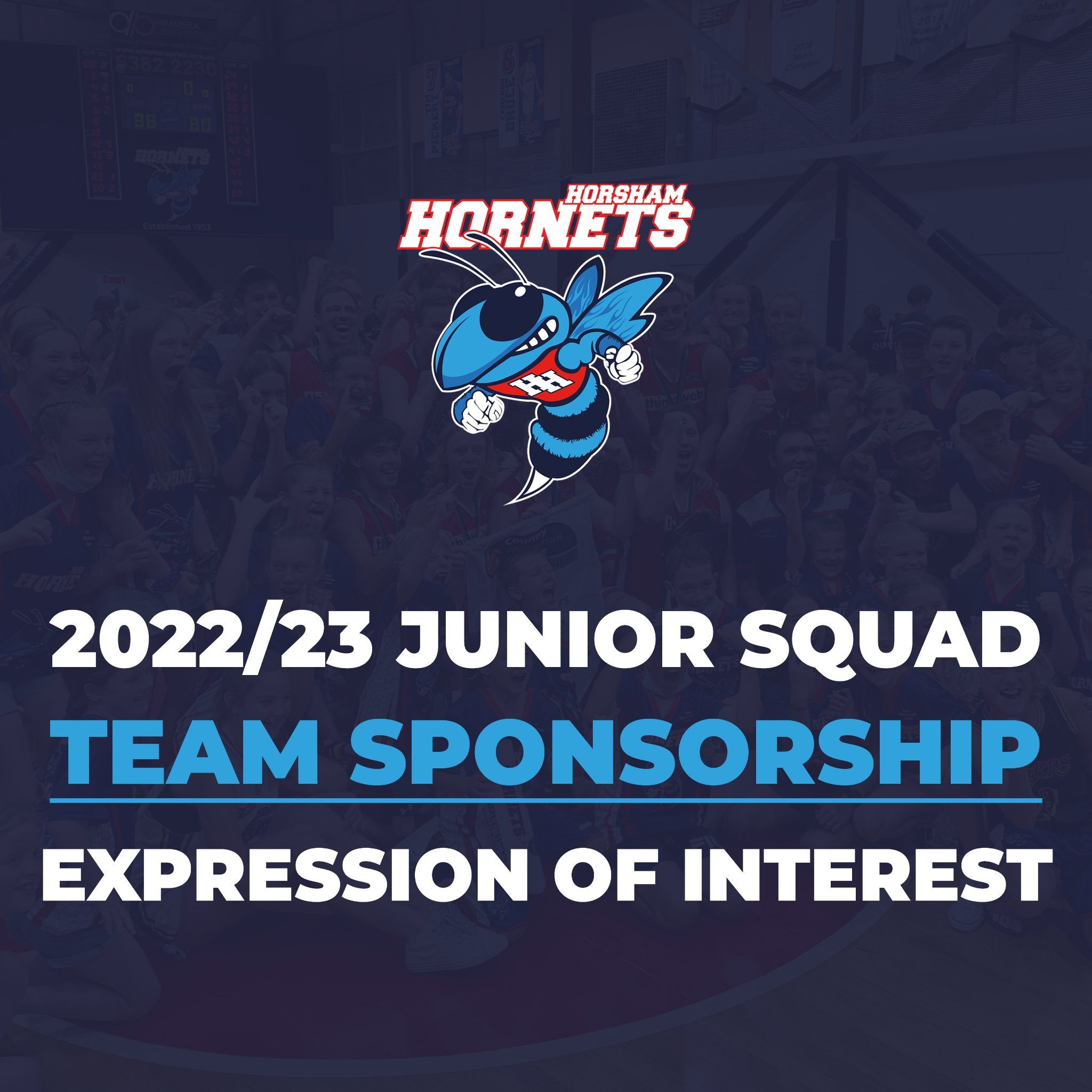 Horsham Basketball – Horsham Amateur Basketball Association (HABA)